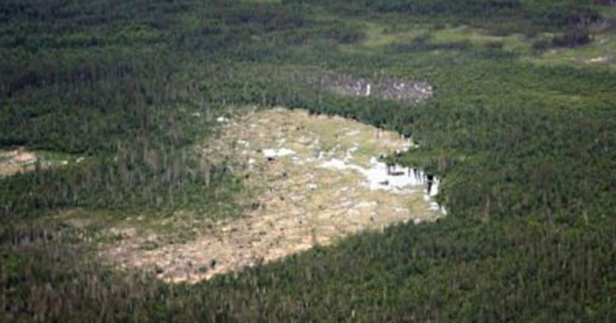 Descubren una represa construida por castores visible desde el espacio ...