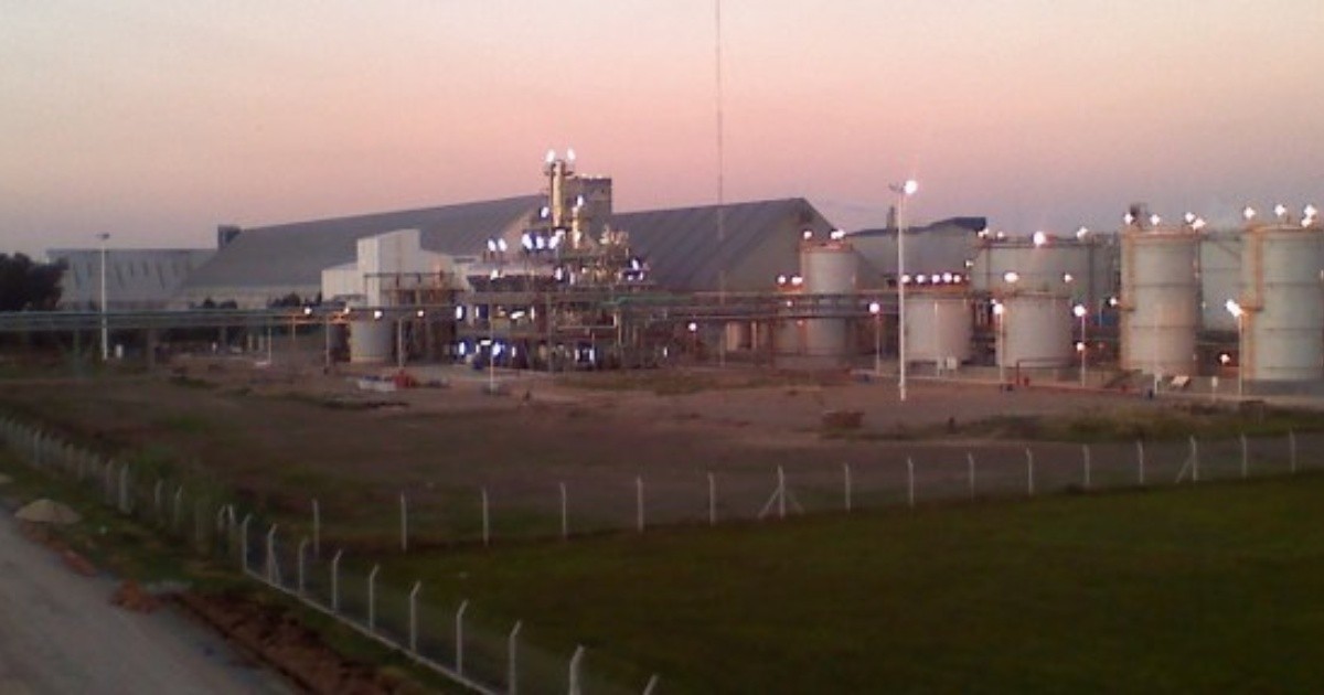 Cargill construirá una planta de biodiesel en la región | Rosario3