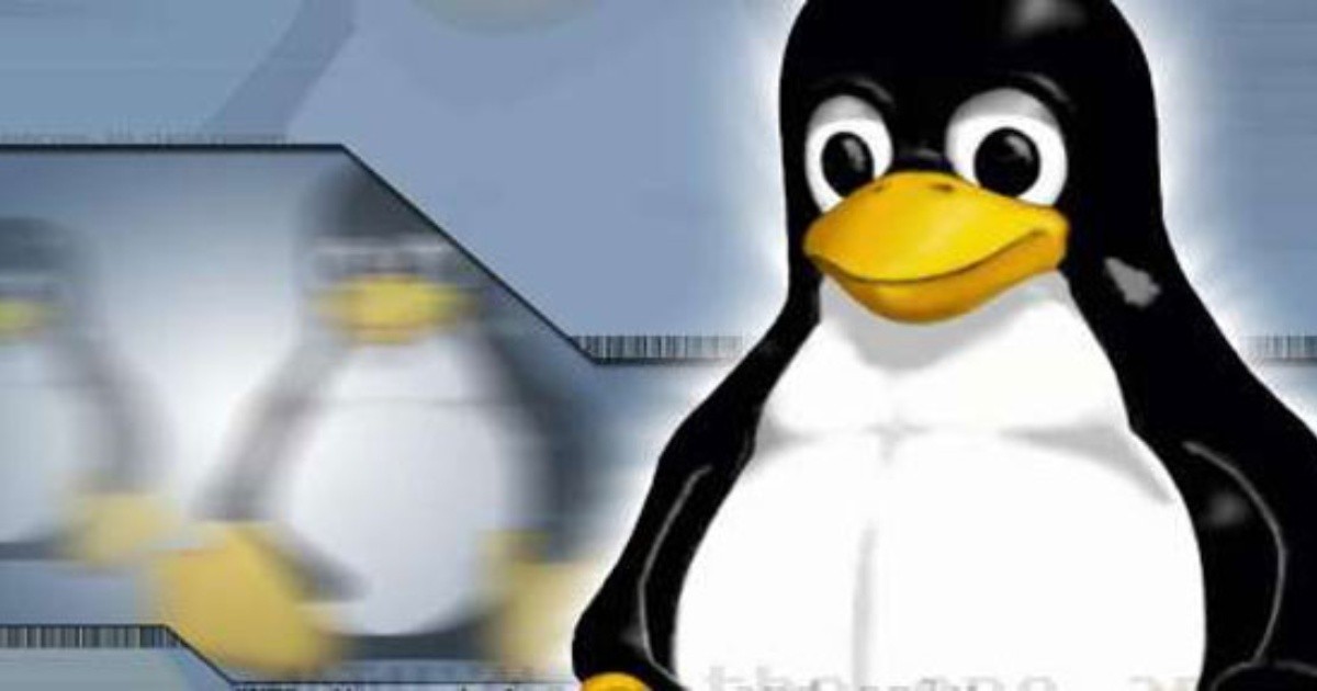 El pingüino de Linux ya cumple 20 años | Rosario3