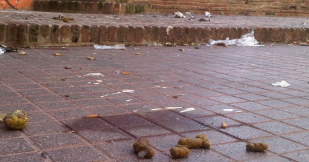 Caca de perro y basura donde deberían jugar los más chicos | Rosario3