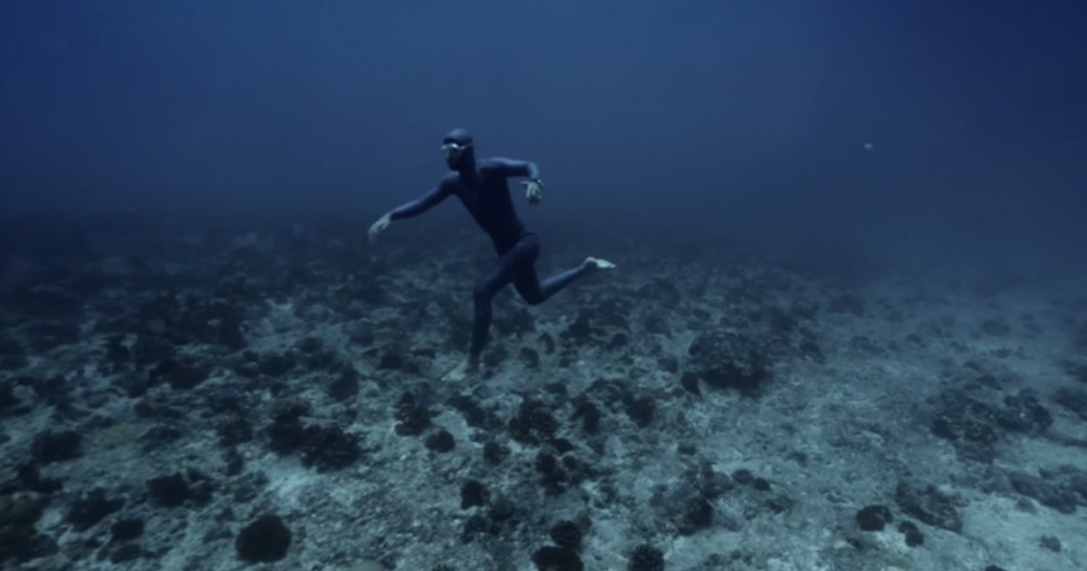 Buceo libre: impresionantes imágenes del océano profundo | Rosario3