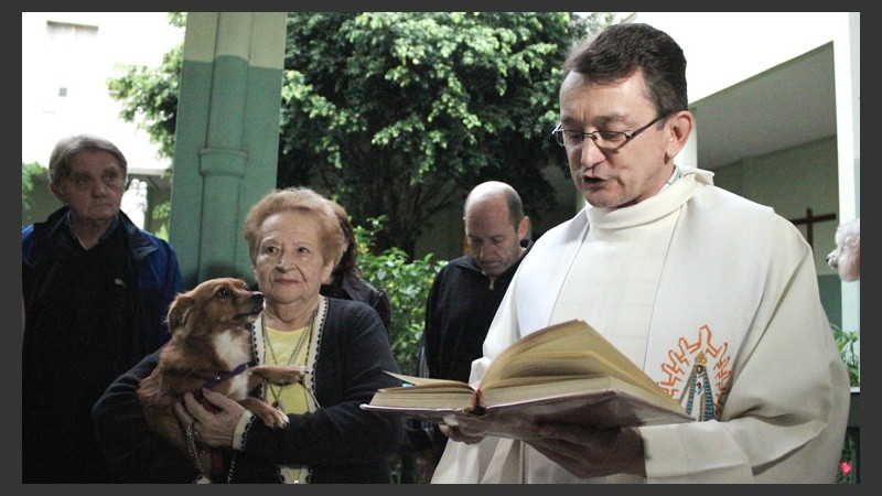 En su día, los perros tuvieron su misa en una iglesia rosarina | Rosario3