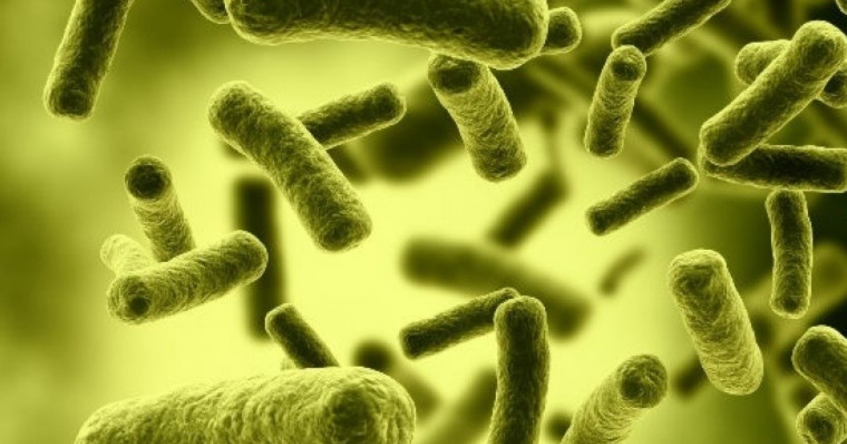 Publican una lista de bacterias resistentes a los antibióticos | Rosario3