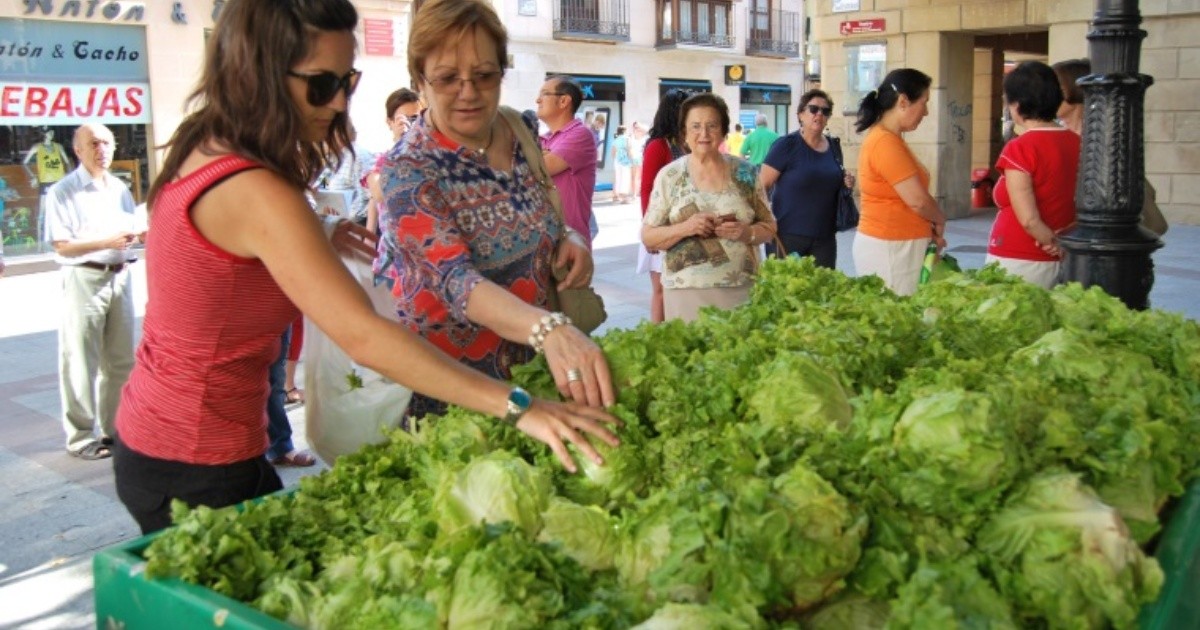 ¿Por qué está tan cara la lechuga? | Rosario3
