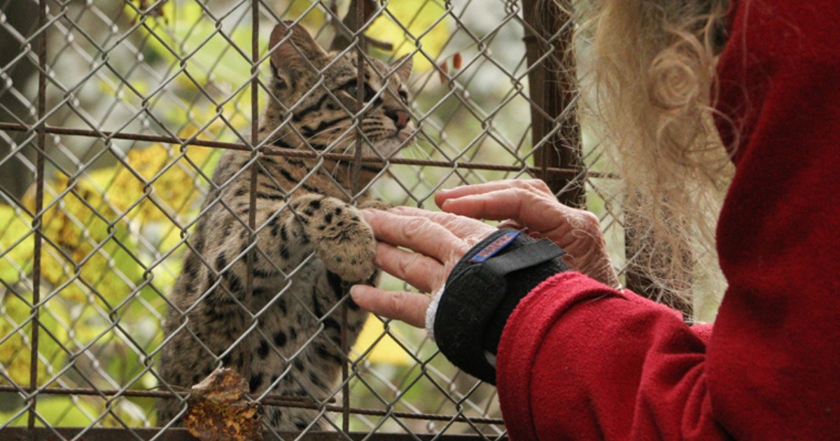 Así es el refugio que rehabilita animales silvestres en Rosario | Rosario3