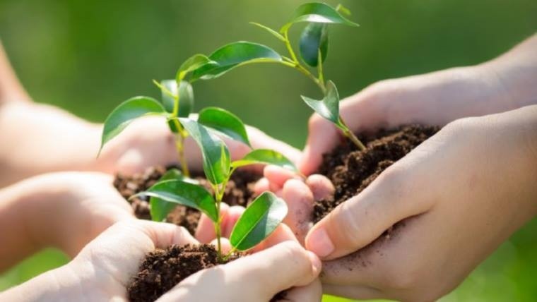 Conciencia planetaria: se celebra el Día Mundial del Medio Ambiente ...