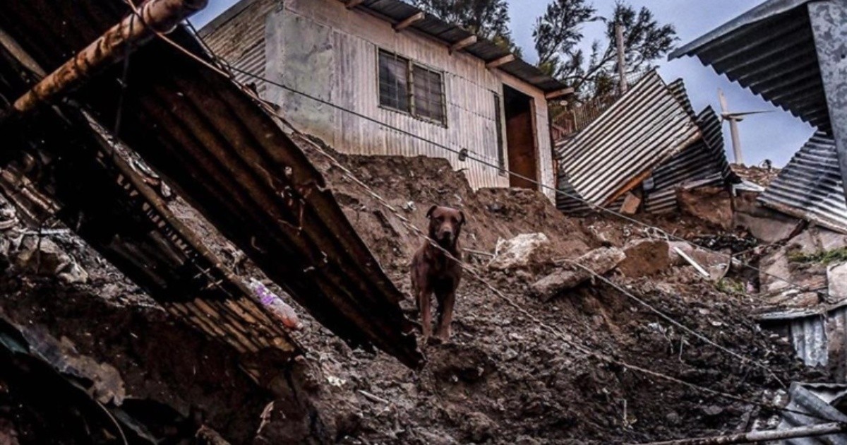 Comodoro Rivadavia: “Gran parte de la ciudad quedó cubierta de barro” | Rosario3