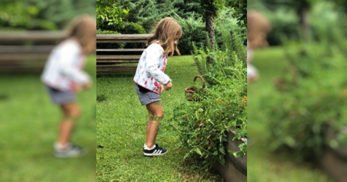 Pura ternura: Antonia Macri cumplió 7 y Juliana Awada compartió foto ...