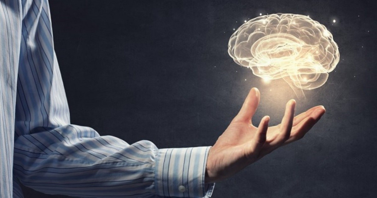 Aprendé a calcular tu coeficiente intelectual | Rosario3