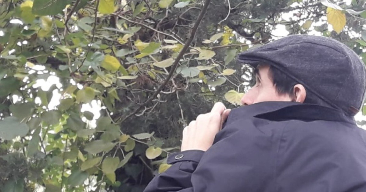 Otoño XL: nublado, destemplado y lluvioso hasta el jueves | Rosario3