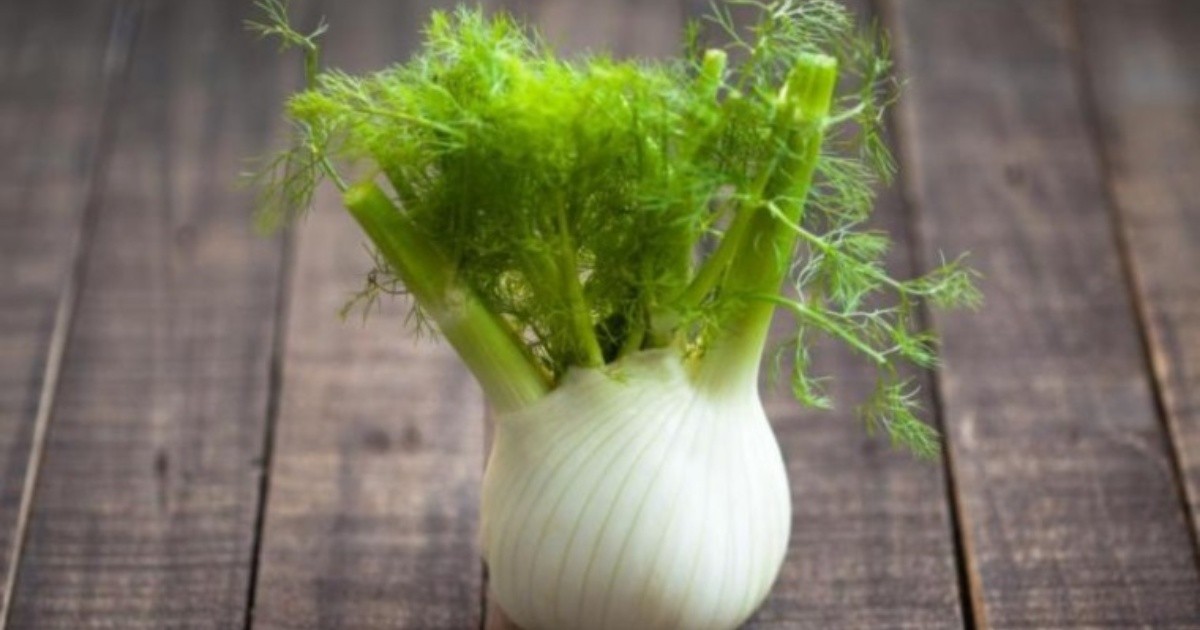 El hinojo y sus propiedades mágicas | Rosario3