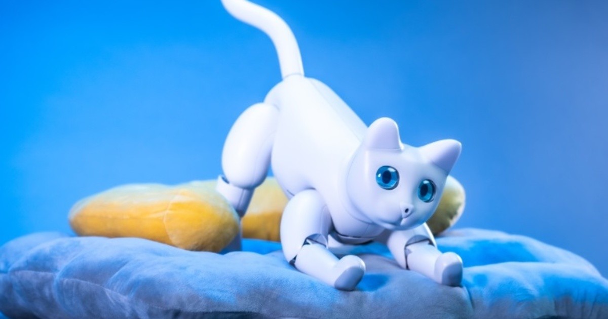MarsCat, el gato-robot que busca ser la mascota del futuro | Rosario3