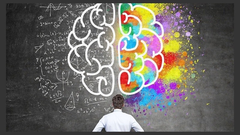 ¿Cómo se mide el coeficiente intelectual? | Rosario3