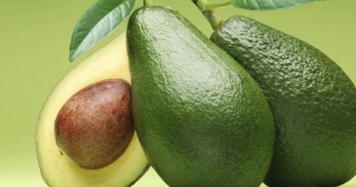 La palta está de moda: mirá los beneficios que aporta al organismo este ...