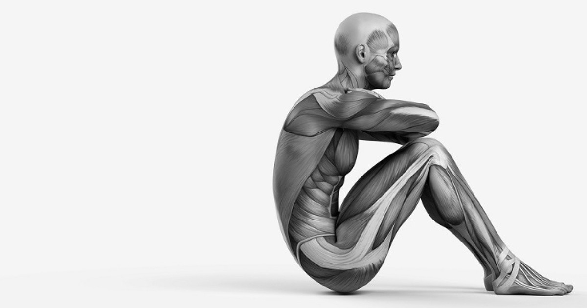 Distrofia Muscular de Cinturas: con nuevas herramientas para tratarla ...