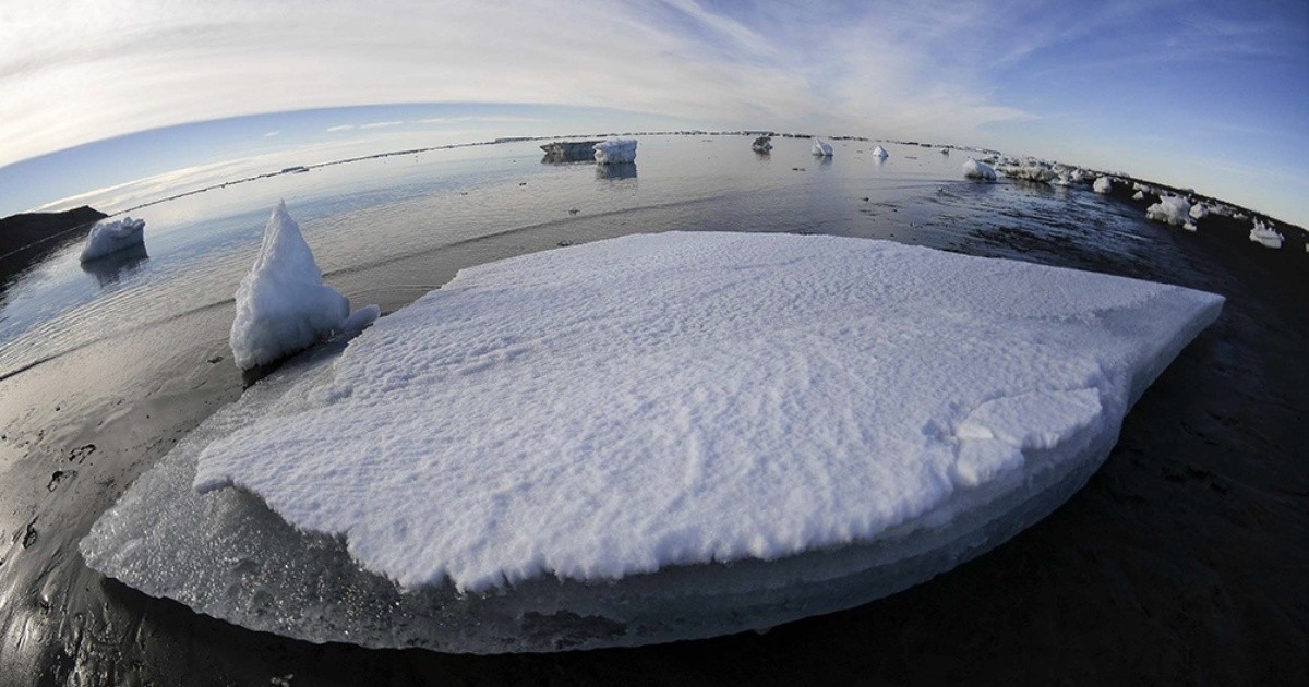 El 2020 fue el año más cálido en todo el mundo | Rosario3