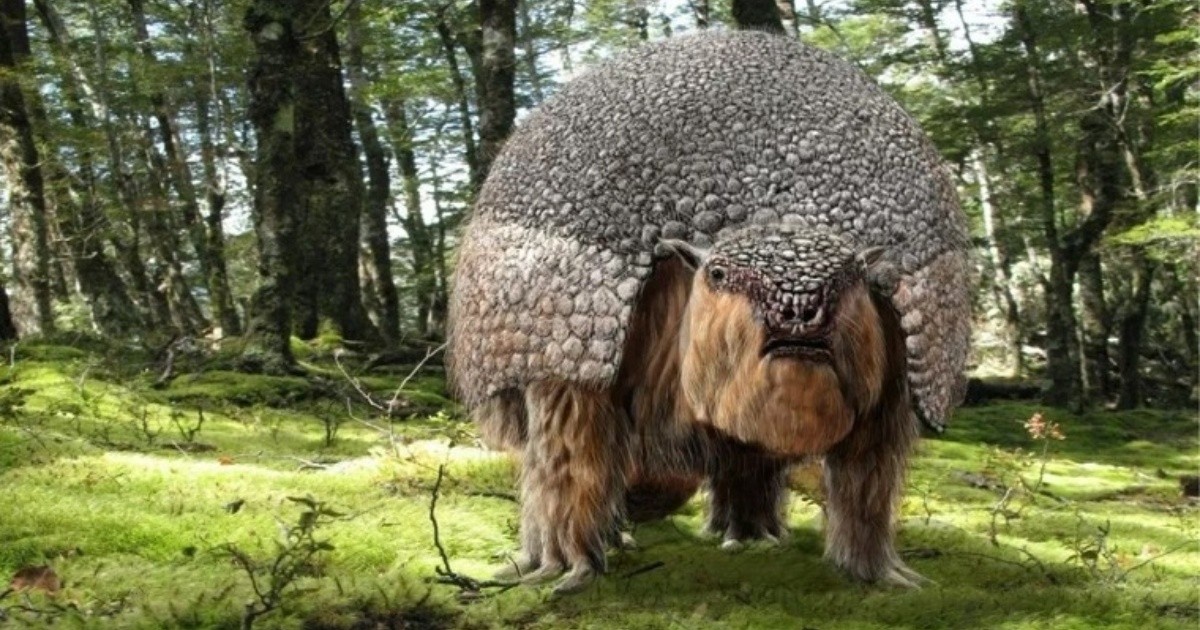 Antropología: Hallan fósiles de un gliptodonte en Santiago del Estero ...