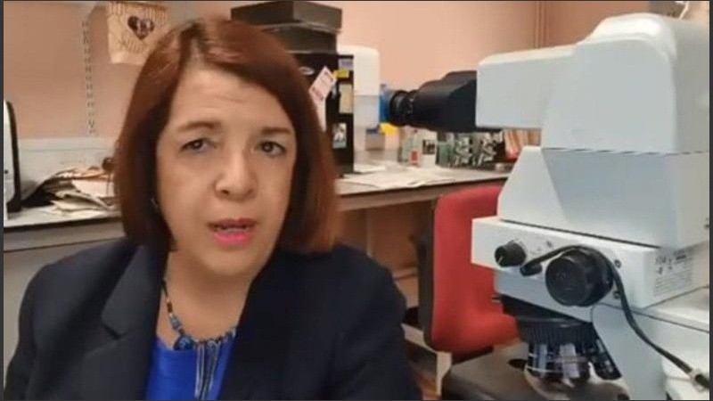Marta Cohen: “El mundo va a tener que aprender a vivir con la pandemia ...