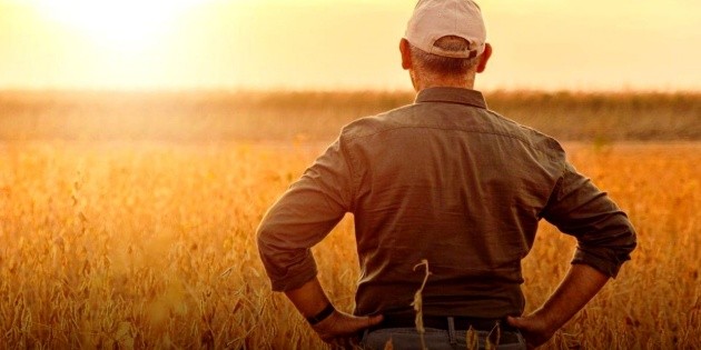 El campo y una parada brava: qué factores marcarán la actividad ...