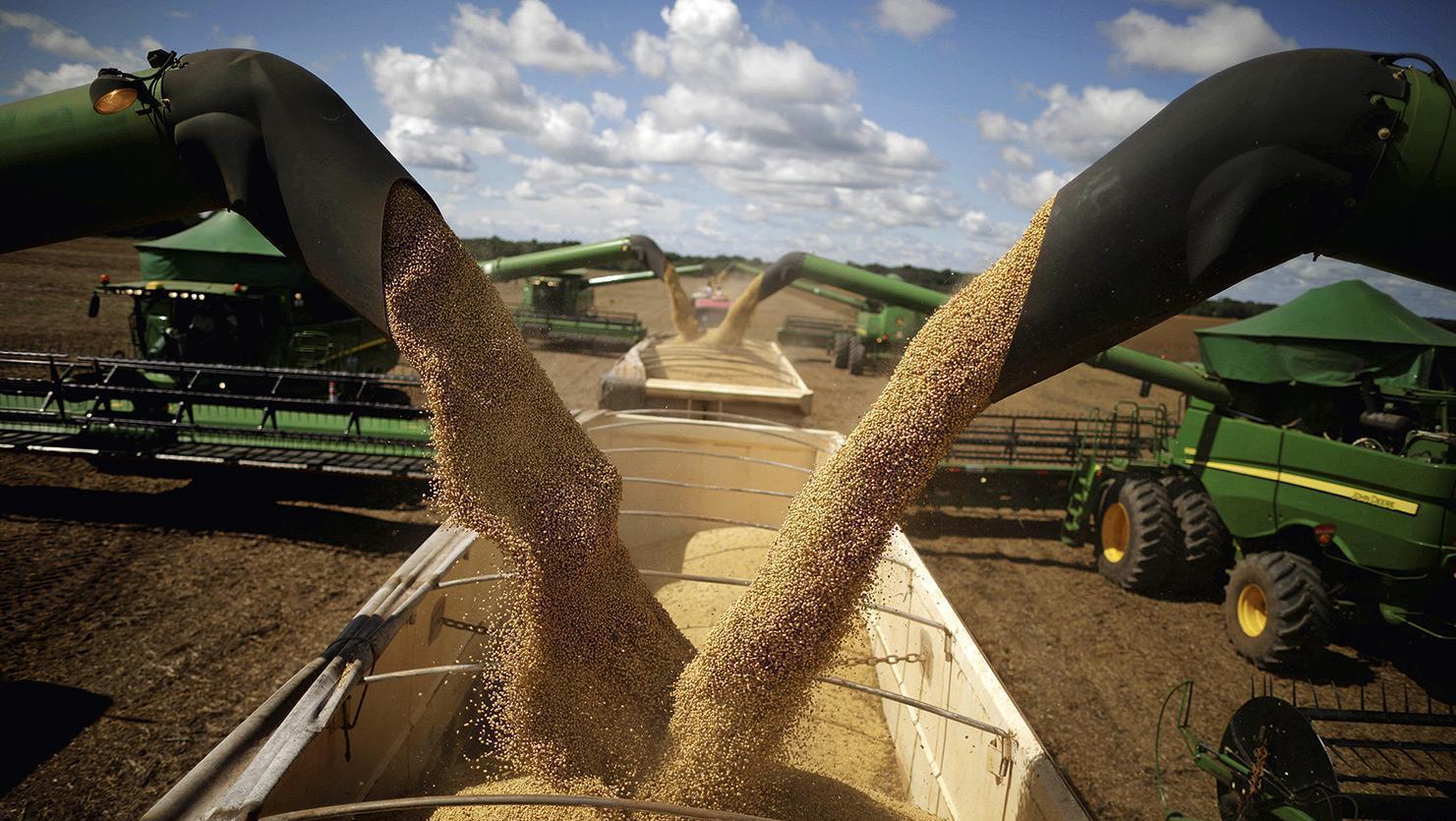 Adecoagro, GDM y Molinos Agro realizaron las primeras transacciones de semillas con Agrotoken ...