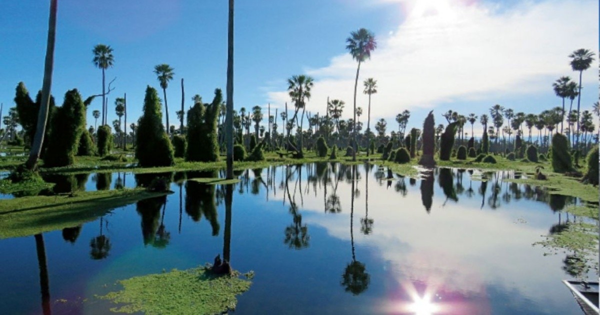 Formosa y su biodiversidad disponible para el turismo | Rosario3