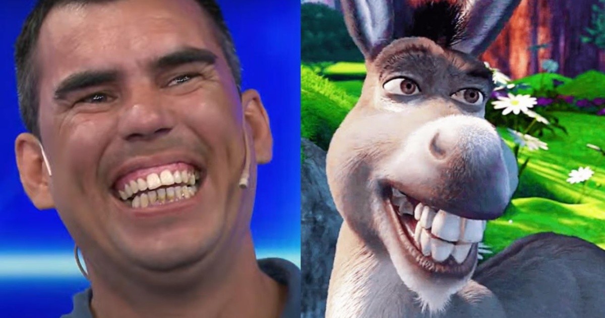 Épico: conocé al doble del burro de Shrek de Bienvenidos a bordo | Rosario3