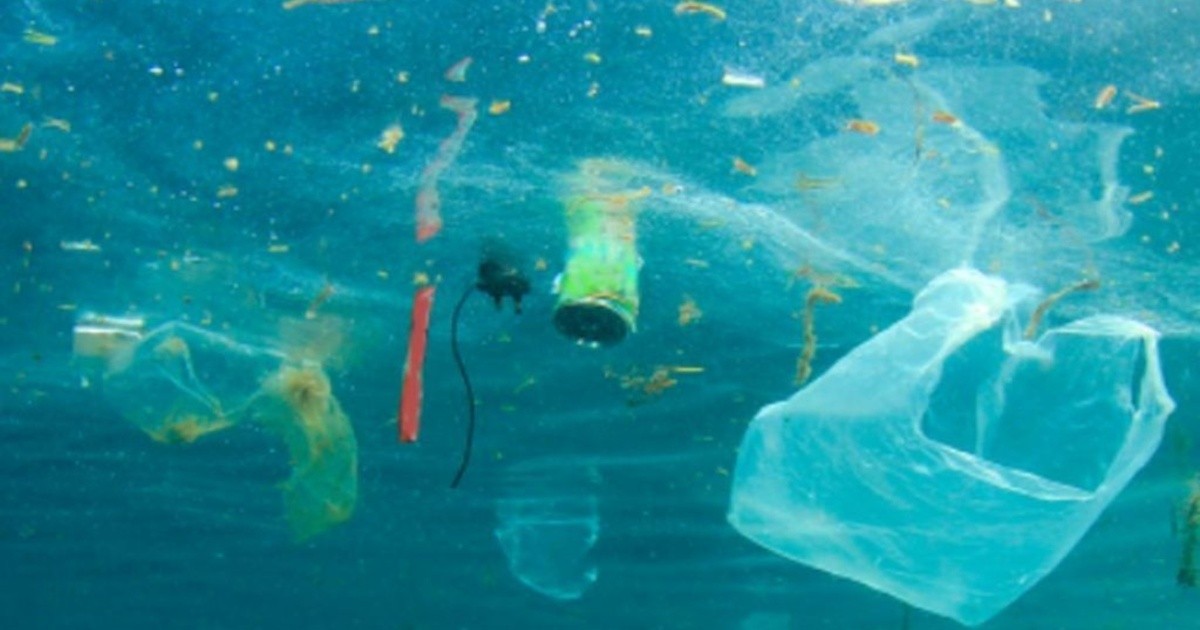 Más del 80% de la basura en las playas bonaerenses corresponden a residuos plásticos | Rosario3