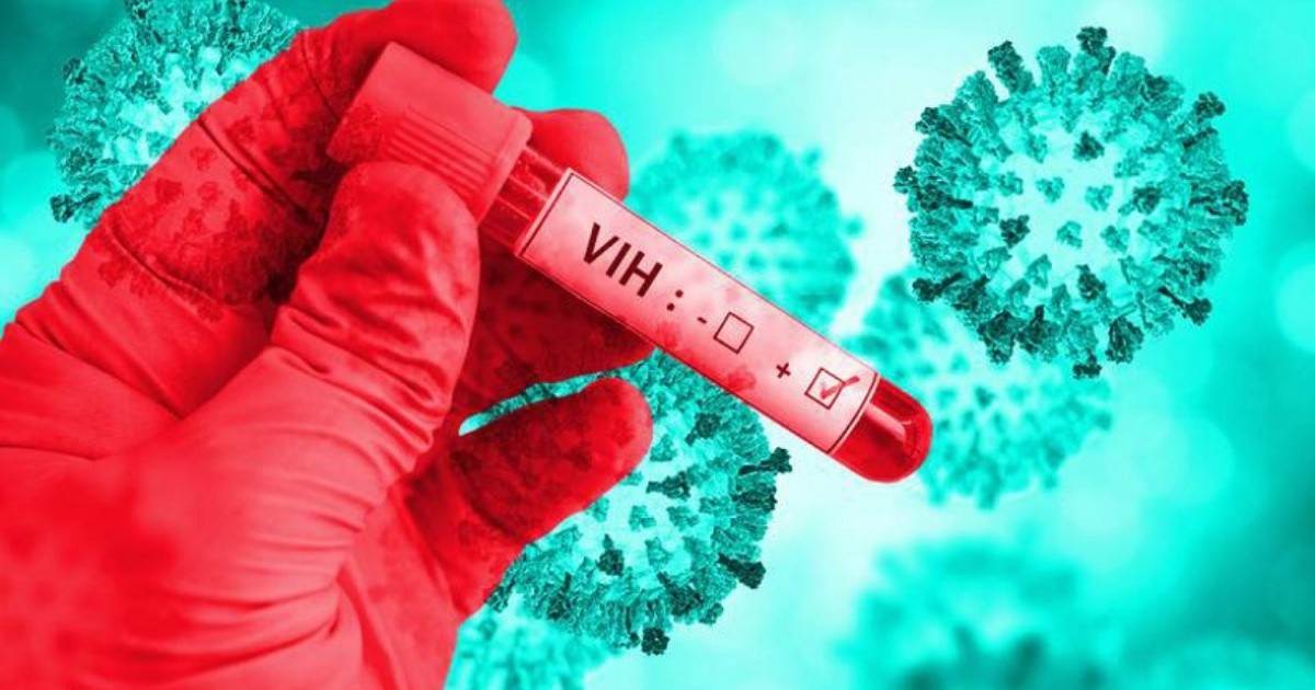 Investigación argentina descubre mecanismo que regula células donde el ...