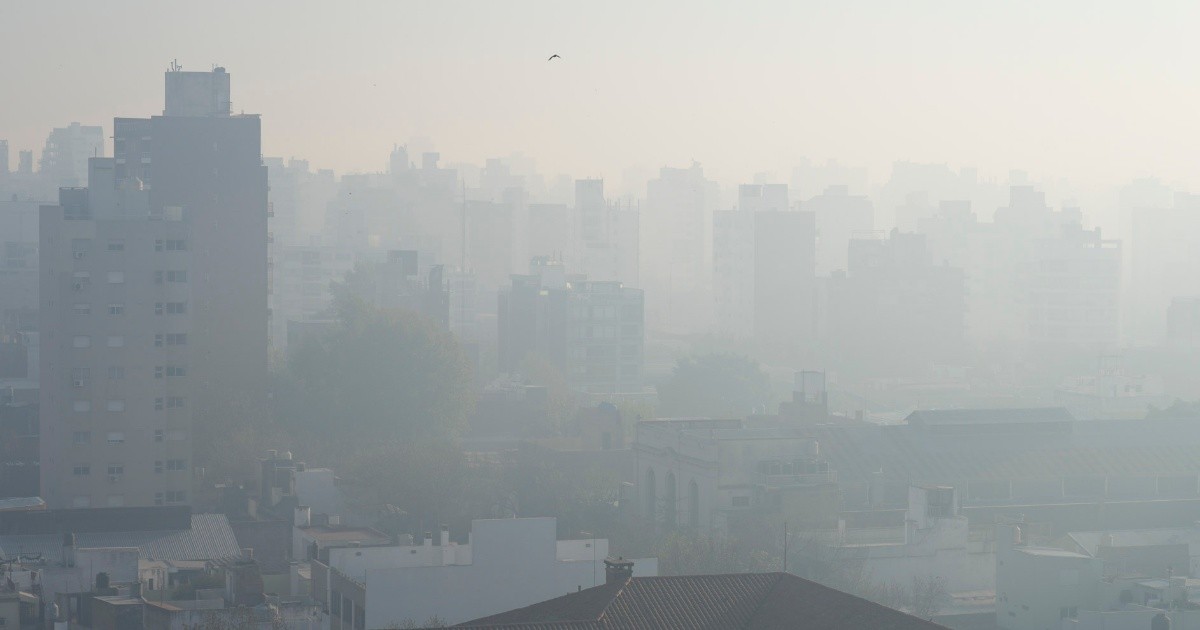 Tanto humo que tapó el plomo: desde el humedal, la Argentina al palo ...