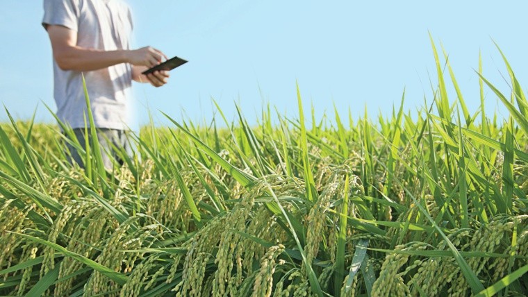 Las AgTech copan el agro: en cinco años registraron un crecimiento del ...