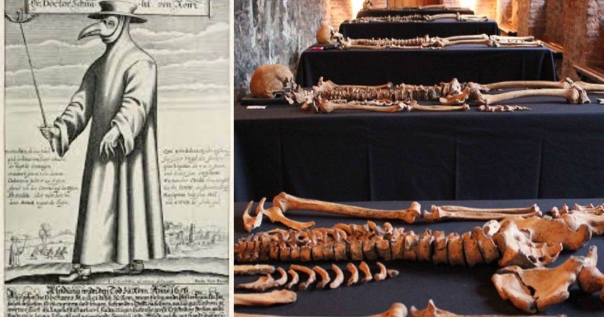 Hallazgo: la peste negra "modeló" los genes y el sistema inmune actual ...