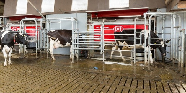 Tambos robotizados: ya funcionan más de 100 en Argentina, ¿pero qué ...