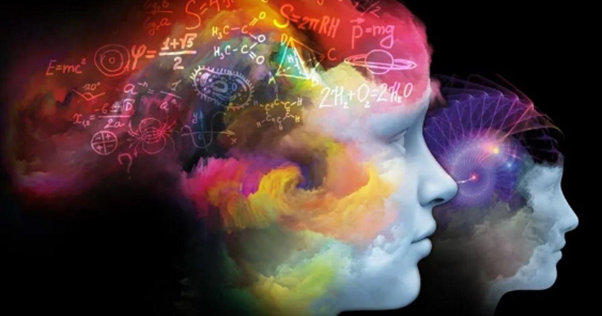 Emerger: ¿por qué nuestro cerebro guarda algunos recuerdos y elimina ...