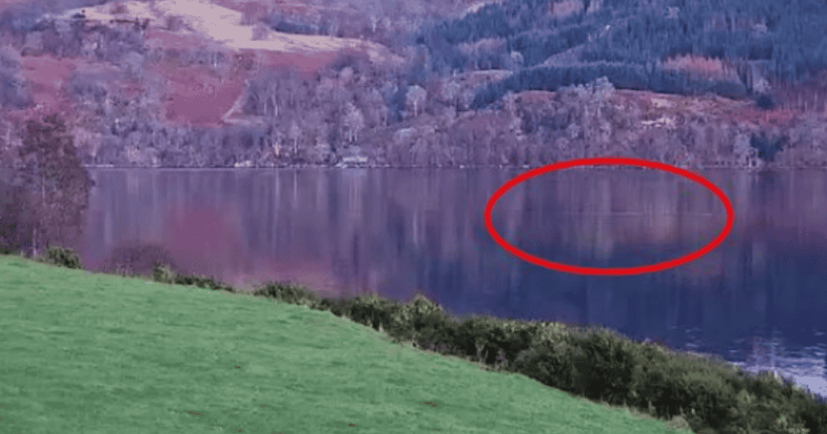 Video: un cazador captó en video al "monstruo" del lago Ness y quedó impresionado | Rosario3