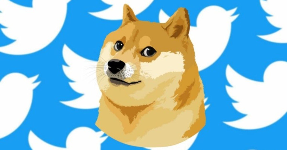 Doge, el perro de Twitter, tiene un movimiento secreto: ¿cómo se hace ...