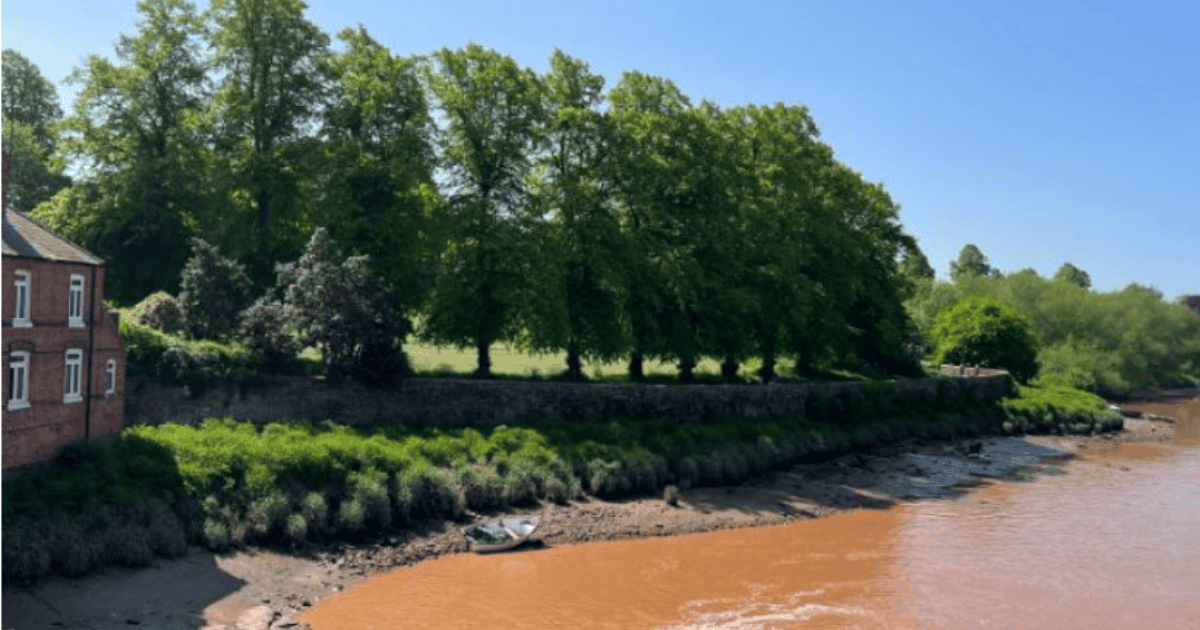 Fotos y video: un río naranja que recuerda a "las plagas de Egipto ...