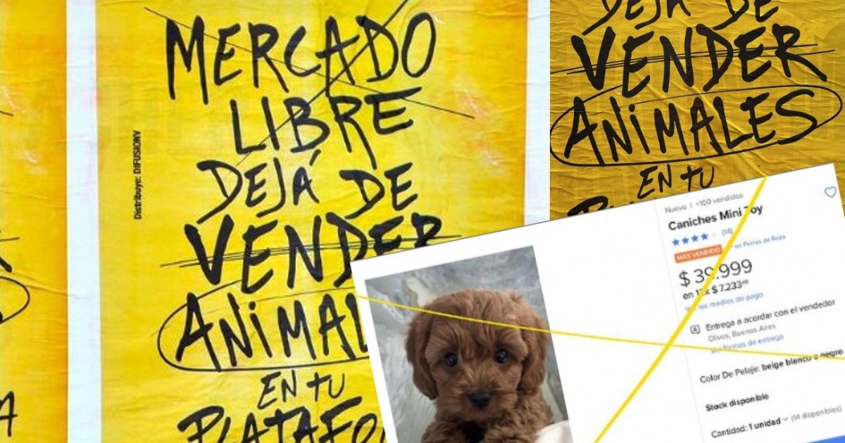 Liberación animal: una campaña que pide que Mercado Libre deje de ...