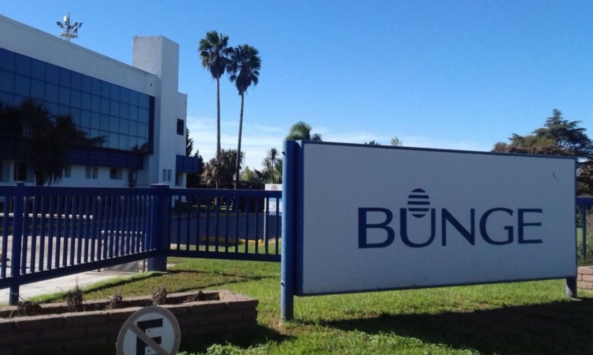 Bunge se quedó con el control de Viterra: los detalles de la fusión de ...