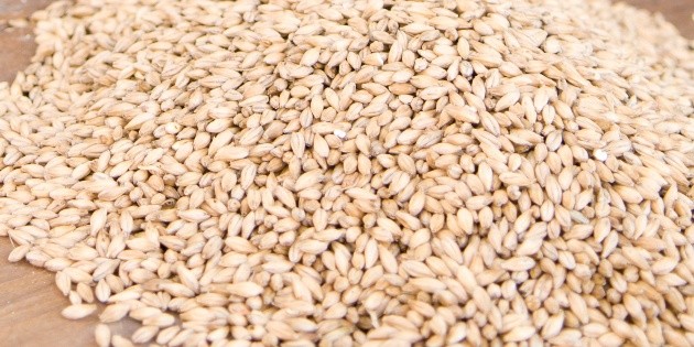 Después de años de negociociones, la cebada en grano de Argentina ...