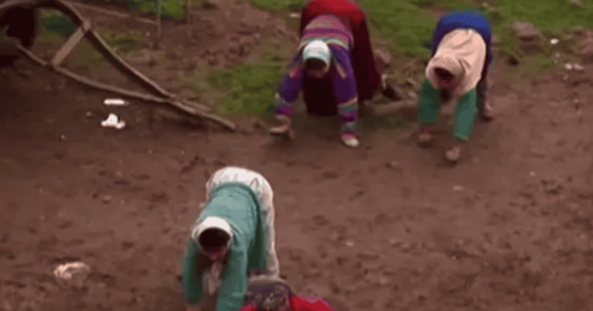 Científicos estudian a una familia que camina en "cuatro patas" | Rosario3