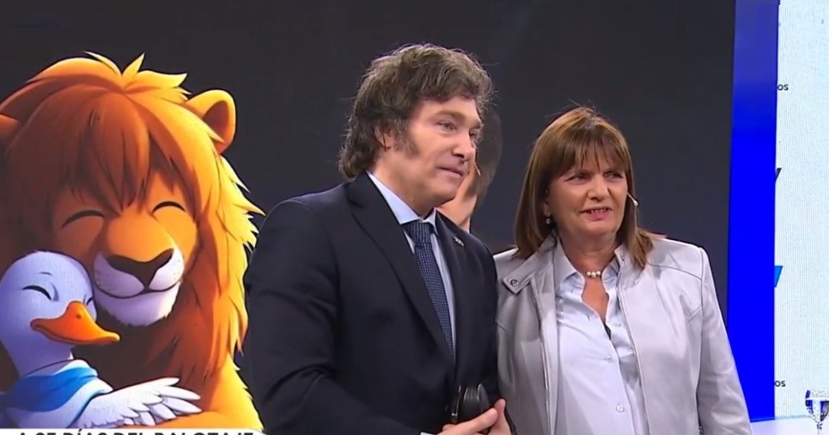 Milei: “La campaña fue dura, se nos fue la mano, pero la prioridad es ...