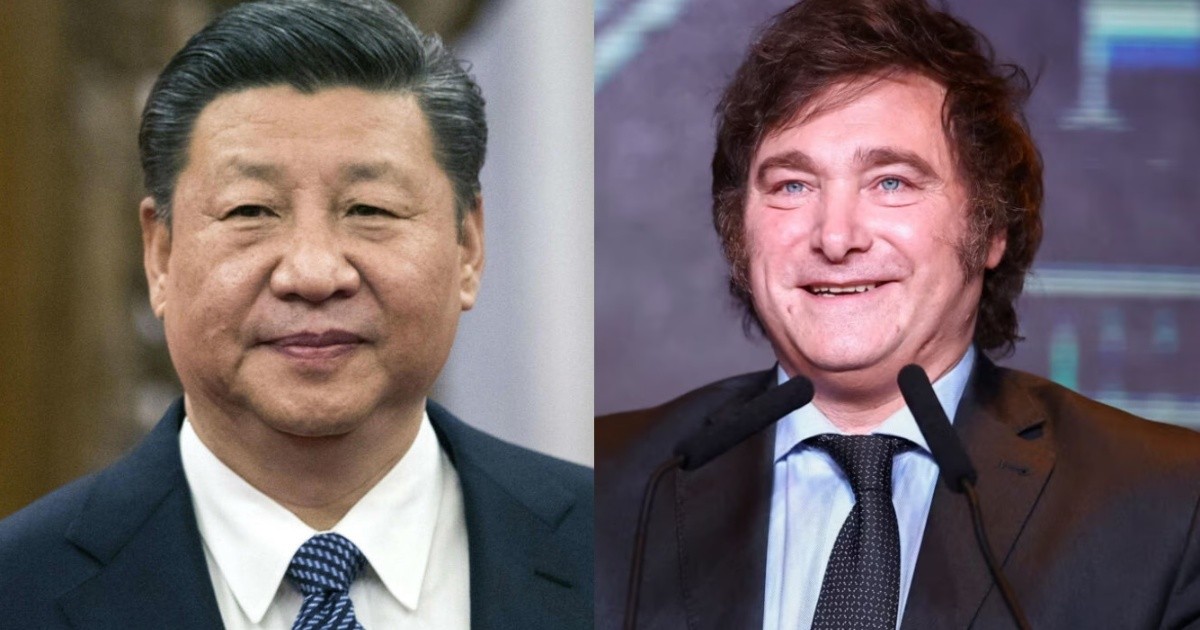 Relaciones con China: Milei agradeció a Xi Jinping y Mondino dijo que ...