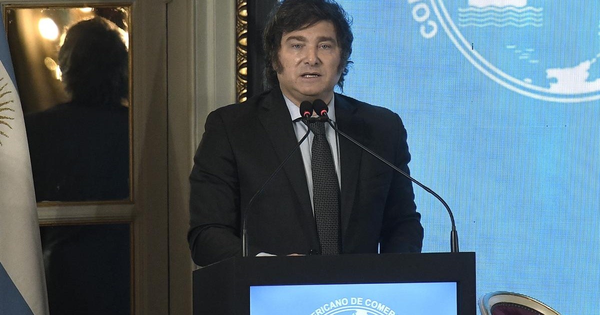 Javier Milei adelantó que "ya están todos definidos" los miembros del ...