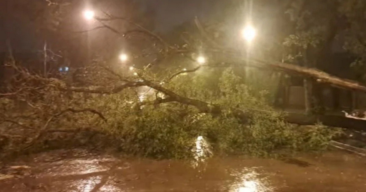 Los efectos de la tormenta en la región | Rosario3