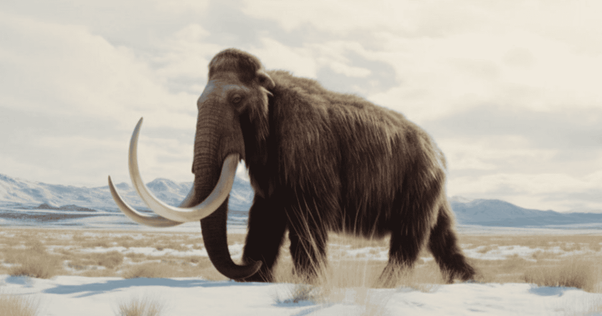 Científicos cada vez más cerca de resucitar a un mamut | Rosario3