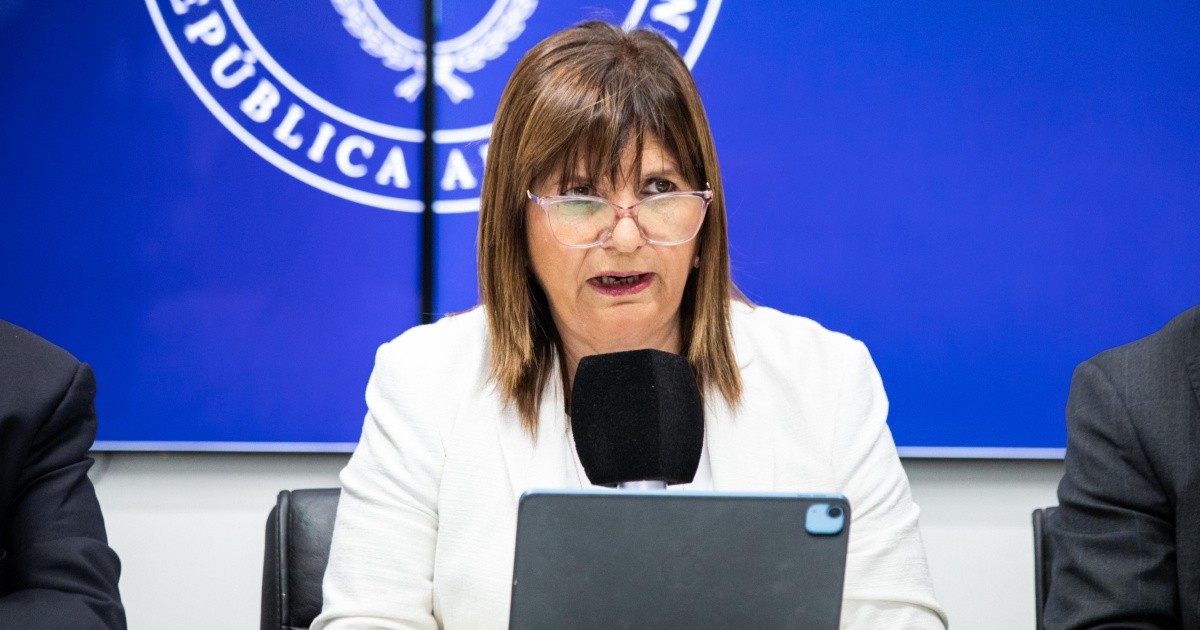 "Pautas claras": Bullrich adelantó un “reglamento” para el empleo de ...