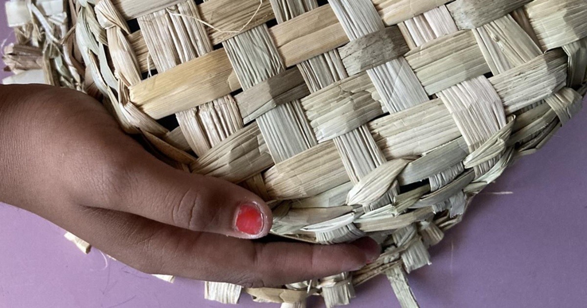 Ñaq’piolec: taller de cestería para infancias y adolescentes en el CC ...