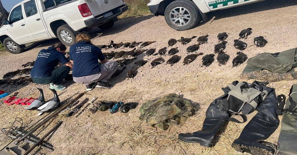 Demoran a turistas franceses por cazar patos ilegalmente en el norte ...