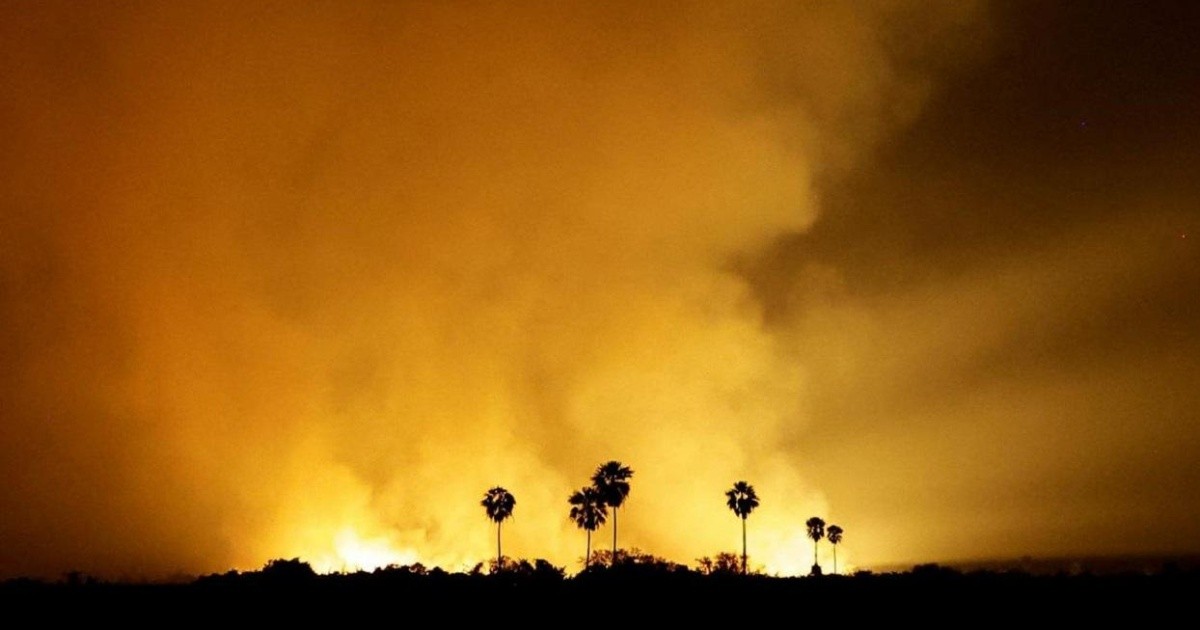 Incendios en Brasil: Mato Grosso do Sul en estado de emergencia por las ...