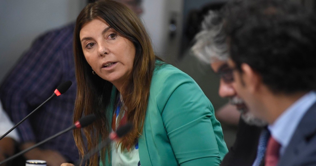 Figueroa Casas sobre el proyecto para declararla "persona no grata" de la UNR: "No puedo ser ...